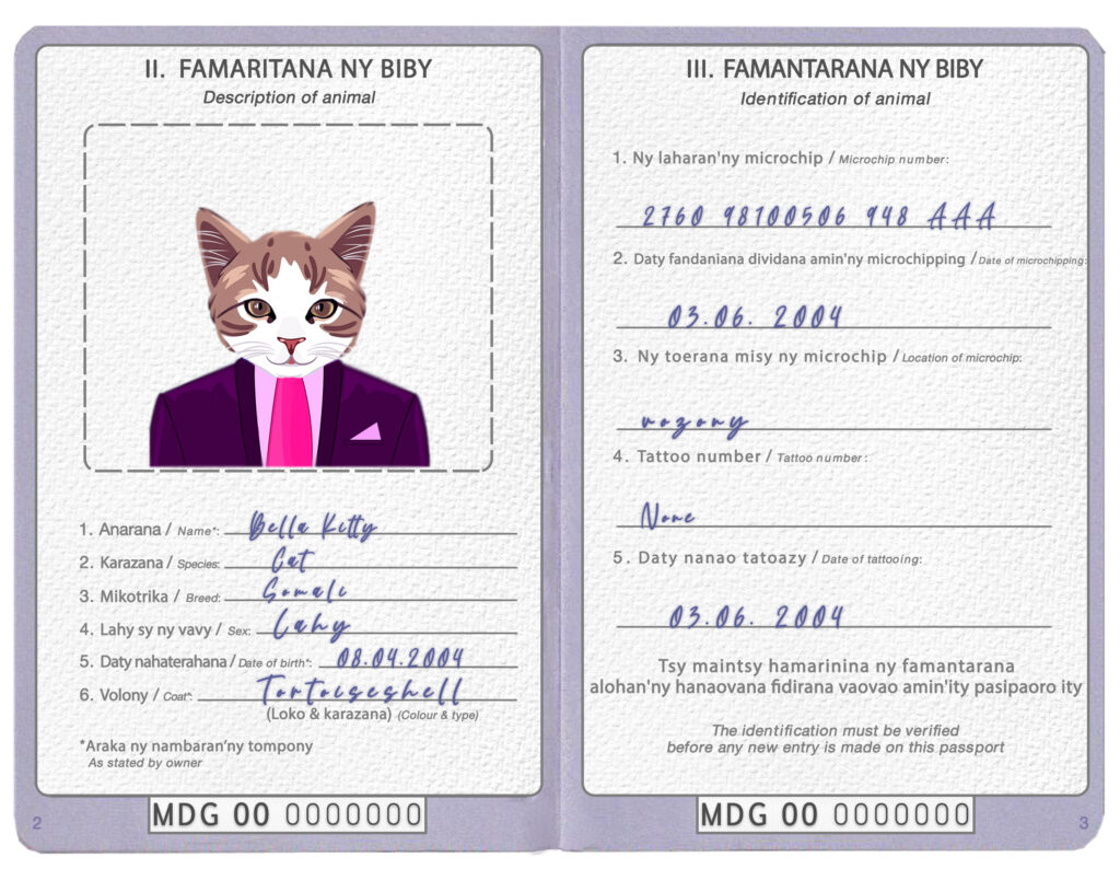 Madagascar cat Fake PSD Passport | Instant Download | Editable Documents